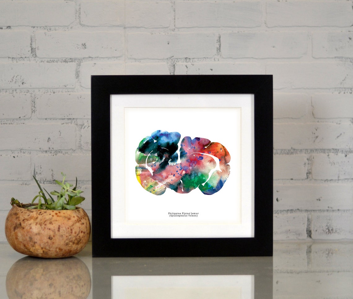 Philippine Flying Lemur Brain Art Colorful 12 X - Etsy