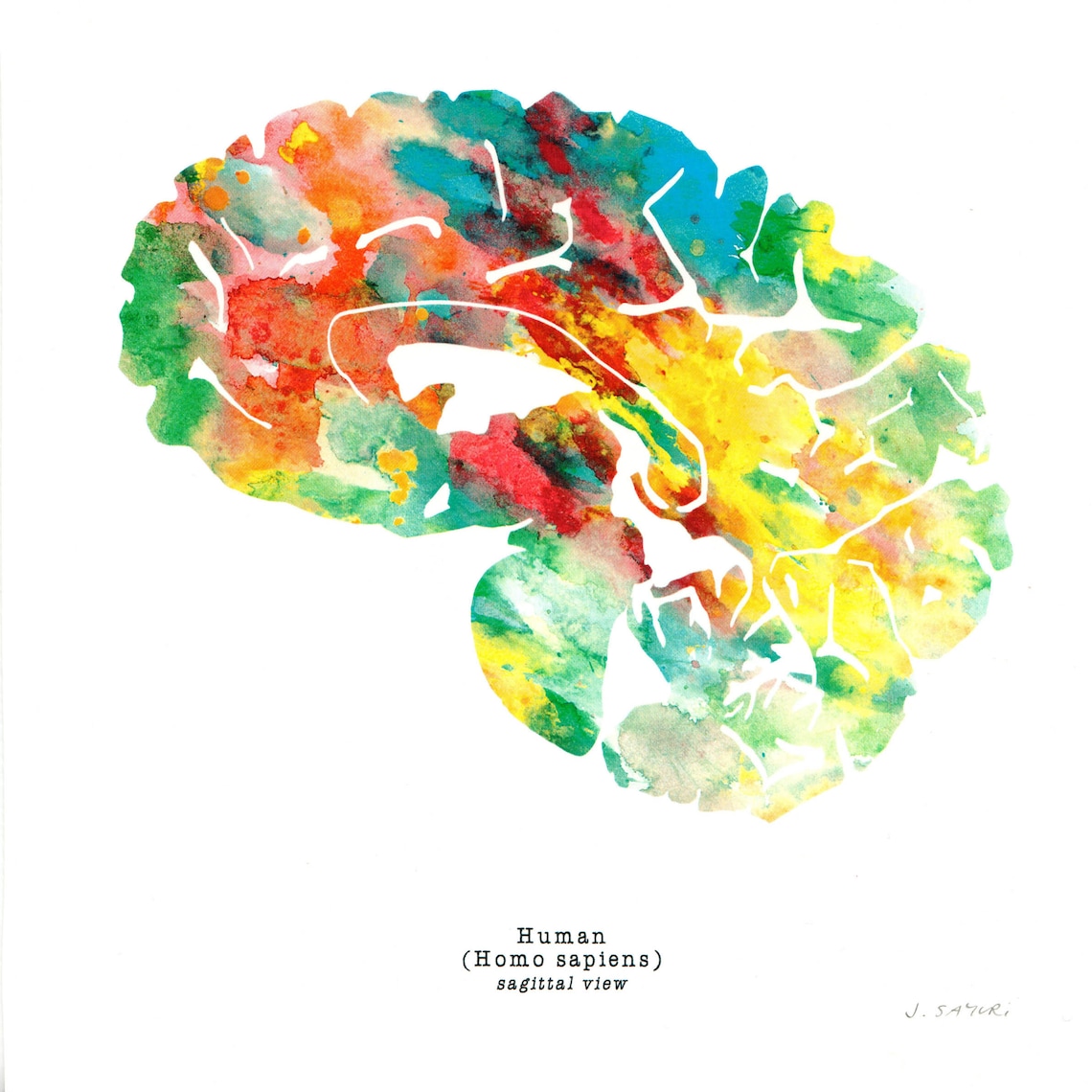 Watercolor Brain Psychology Art Three Square Framed Artwork | Etsy