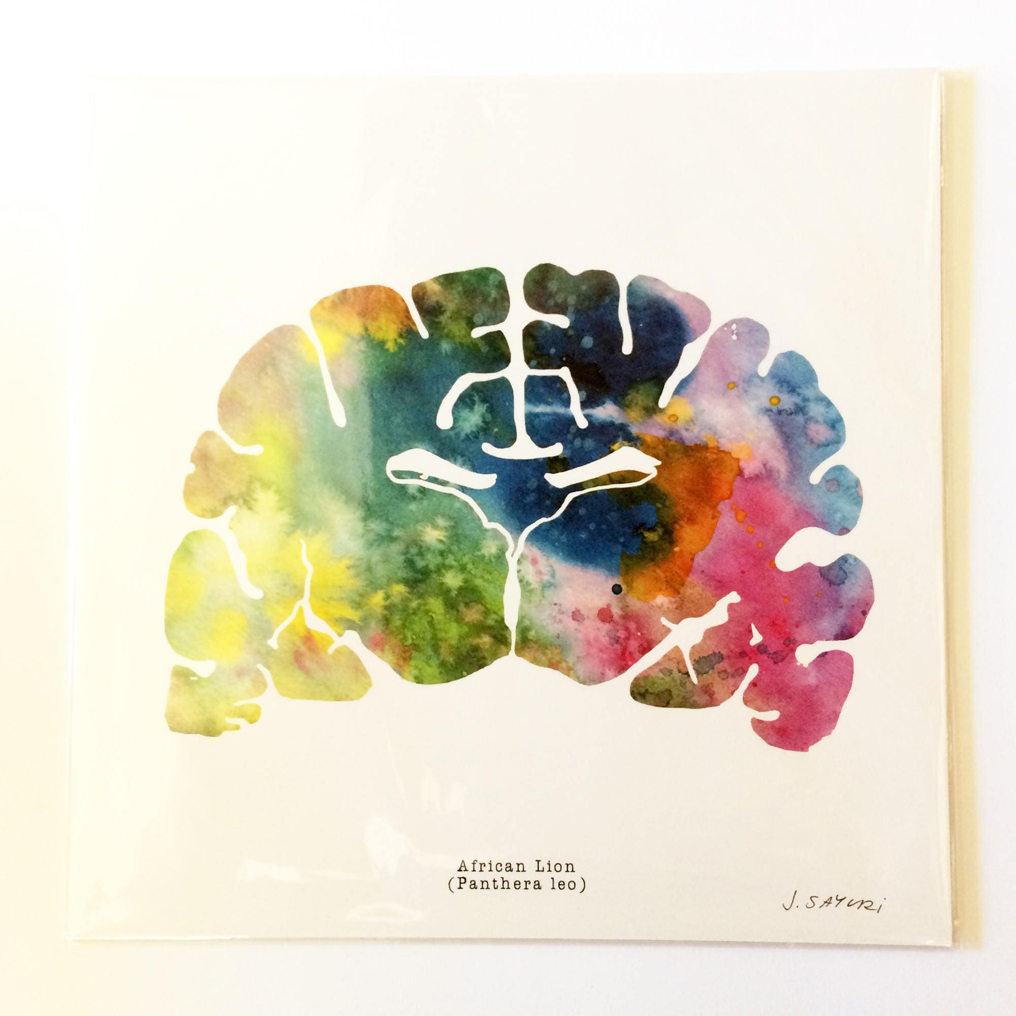 Set of 9 Brain Art Prints 12 x 12 Watercolor | Etsy