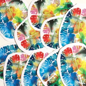 Axial Human Brain Stickers - Set of 20 - Neurology Sticker Art ...