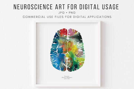 Neuroscience Brain Art