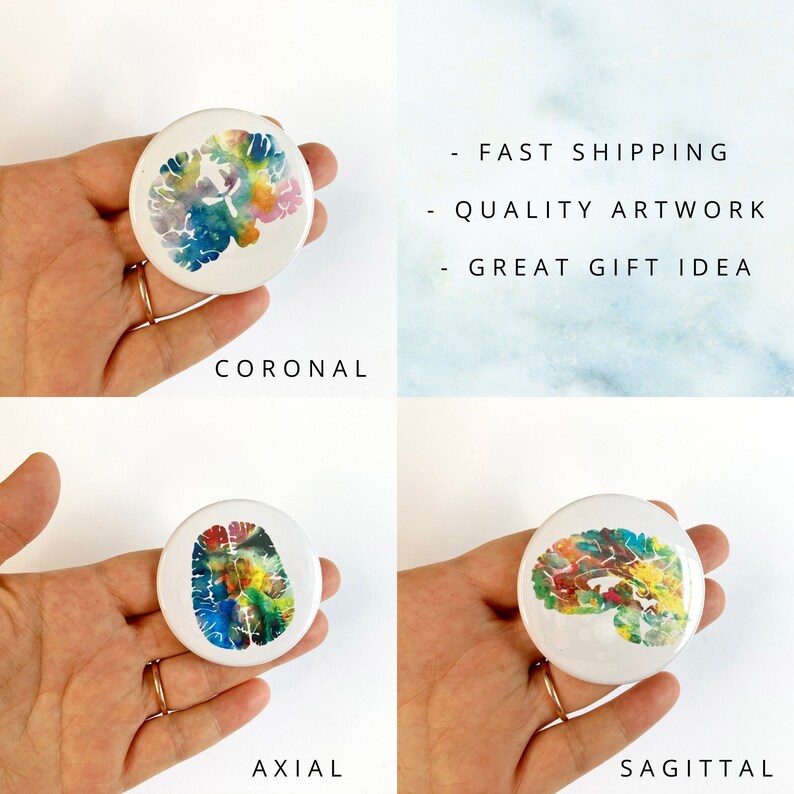 Human Brain Magnet Set - 2.25" Round Fridge Magnets - Refrigerator ...