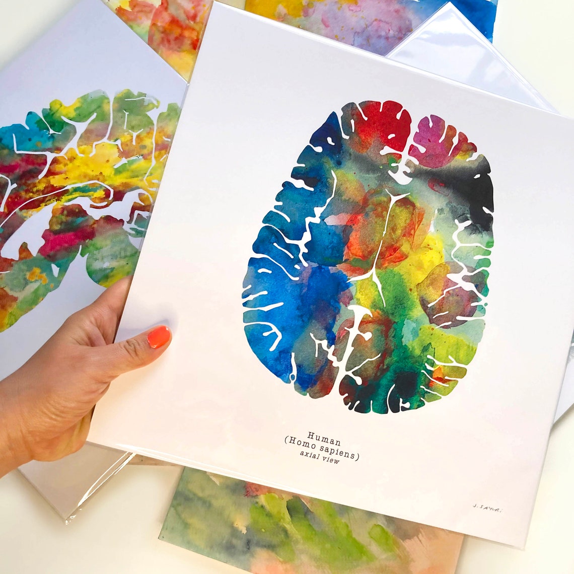 Psychology Wall Brain Art - Three 12" X 12" Human Brain Prints ...