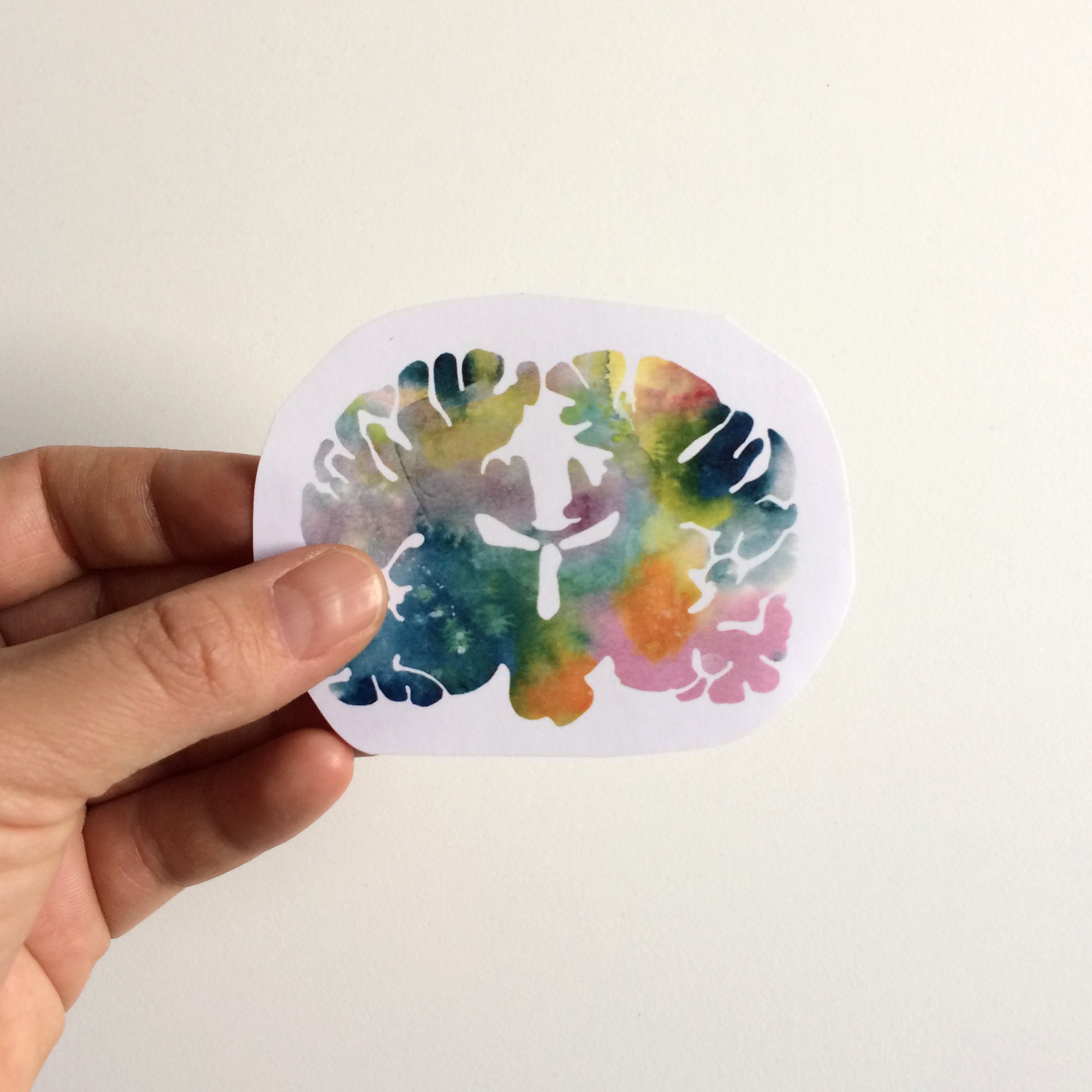Coronal Human Brain Sticker Neurology Sticker Art Colorful | Etsy