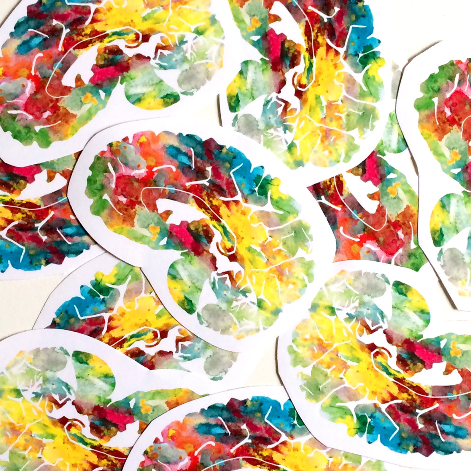 Sagittal Human Brain Stickers Set of 20 Neurology Sticker - Etsy