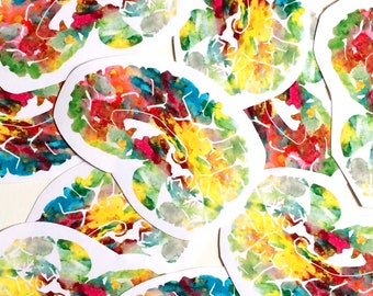 Coronal Human Brain Stickers Set of 20 Neurology Sticker | Etsy