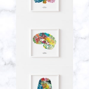 Human Brains Print Set Three 8.5 X 8.5 Watercolor Prints Neuroscience ...