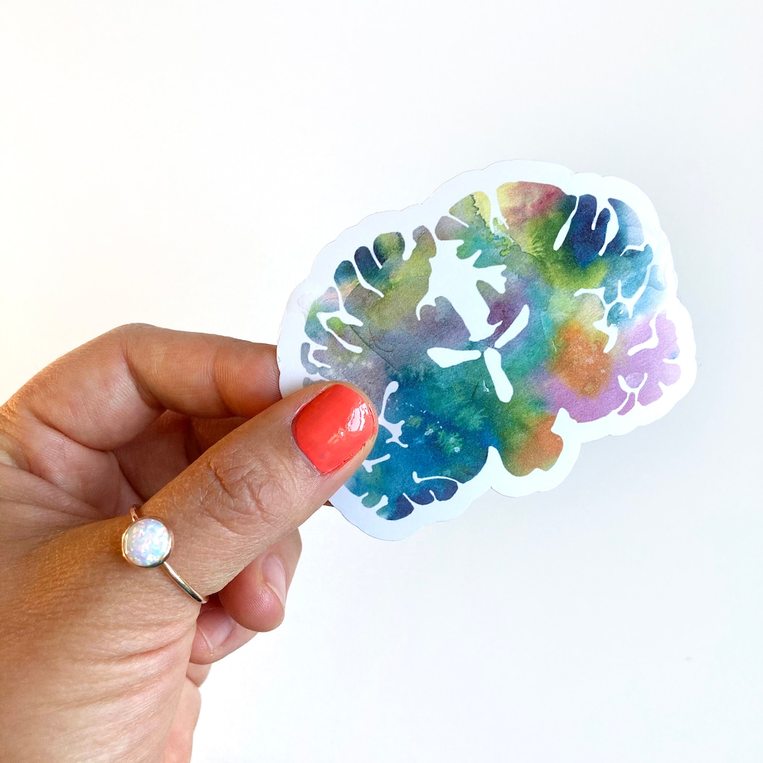 Coronal Human Brain Sticker - Neurology Sticker Art- Colorful ...