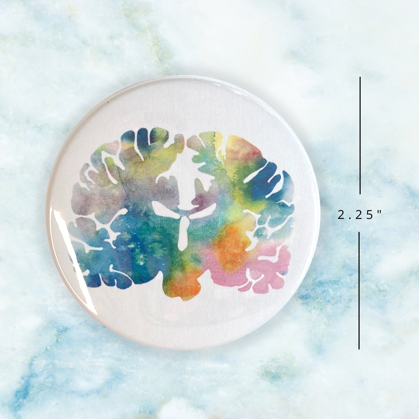 Human Brain Magnet Set - 2.25" Round Fridge Magnets - Refrigerator ...