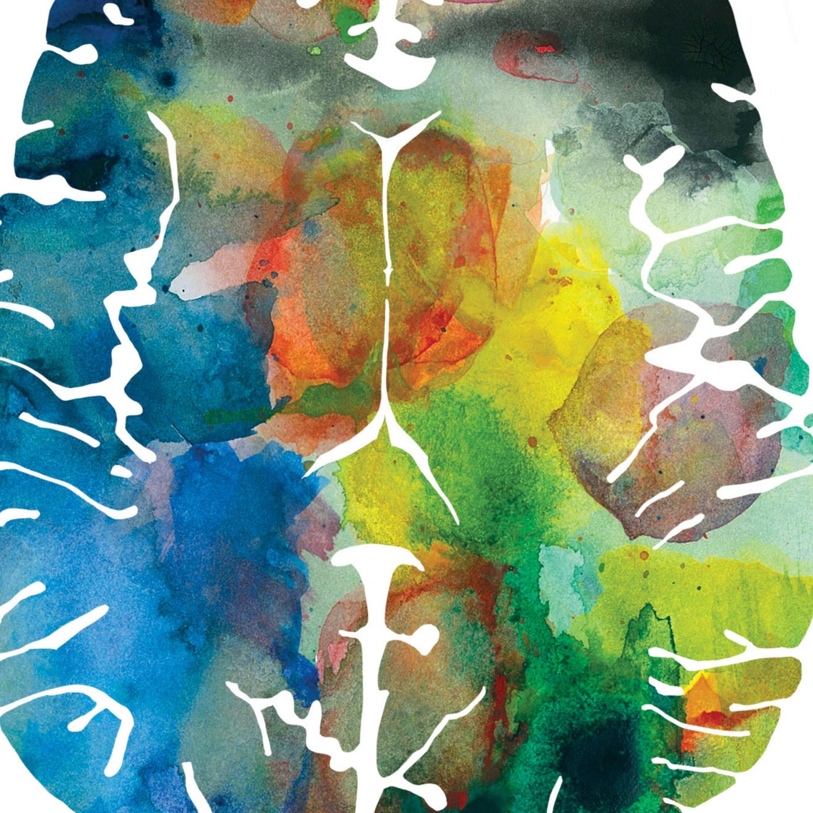 Axial Human Brain Art - Colorful 8.5" X 8.5" Print - Psychiatry ...