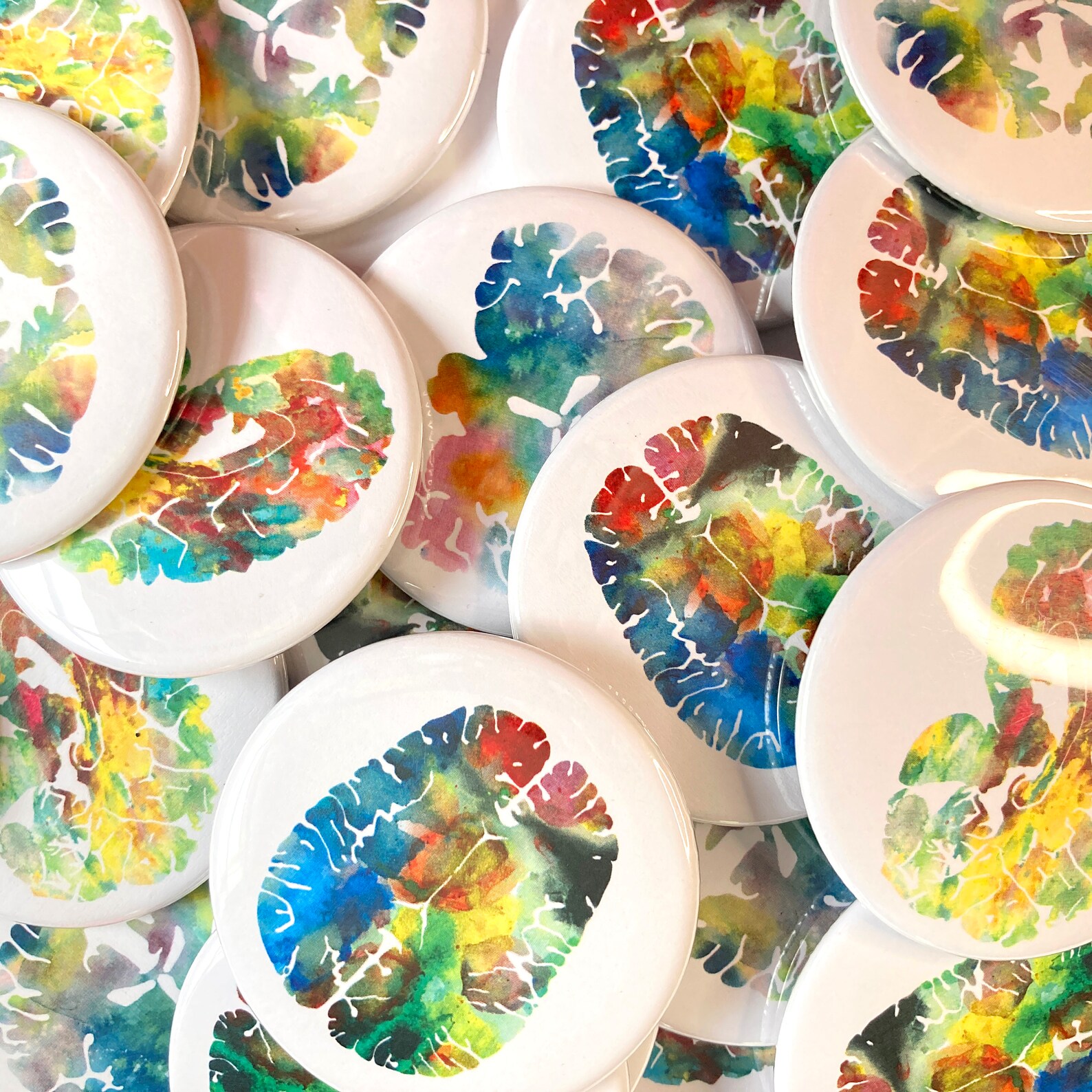 Human Brain Magnet Set - 2.25" Round Fridge Magnets - Refrigerator ...