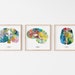 Coronal Human Brain Stickers Set of 20 Neurology Sticker Art Colorful ...