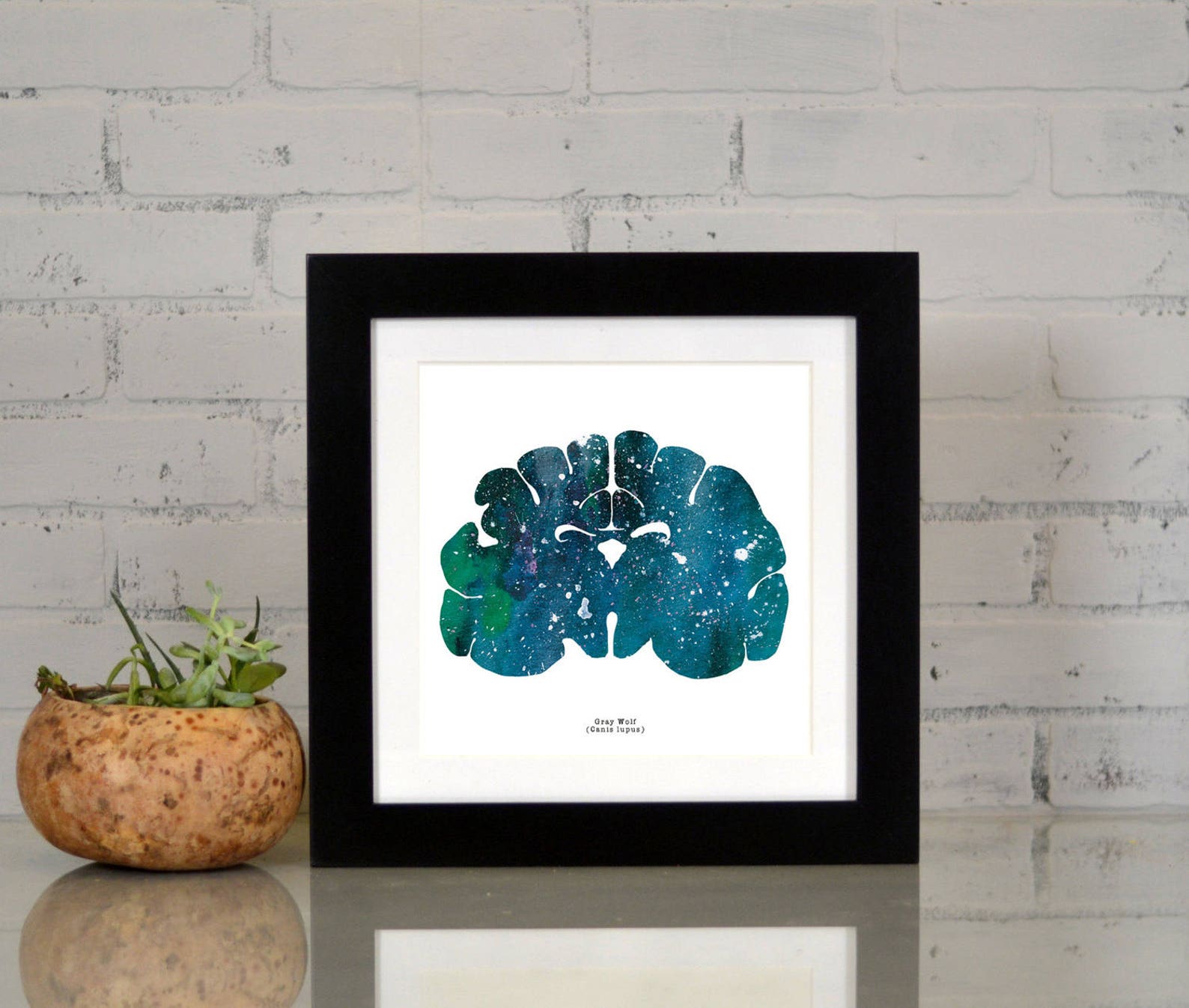 Gray Wolf Brain Art 12 X 12 Watercolor Print - Etsy