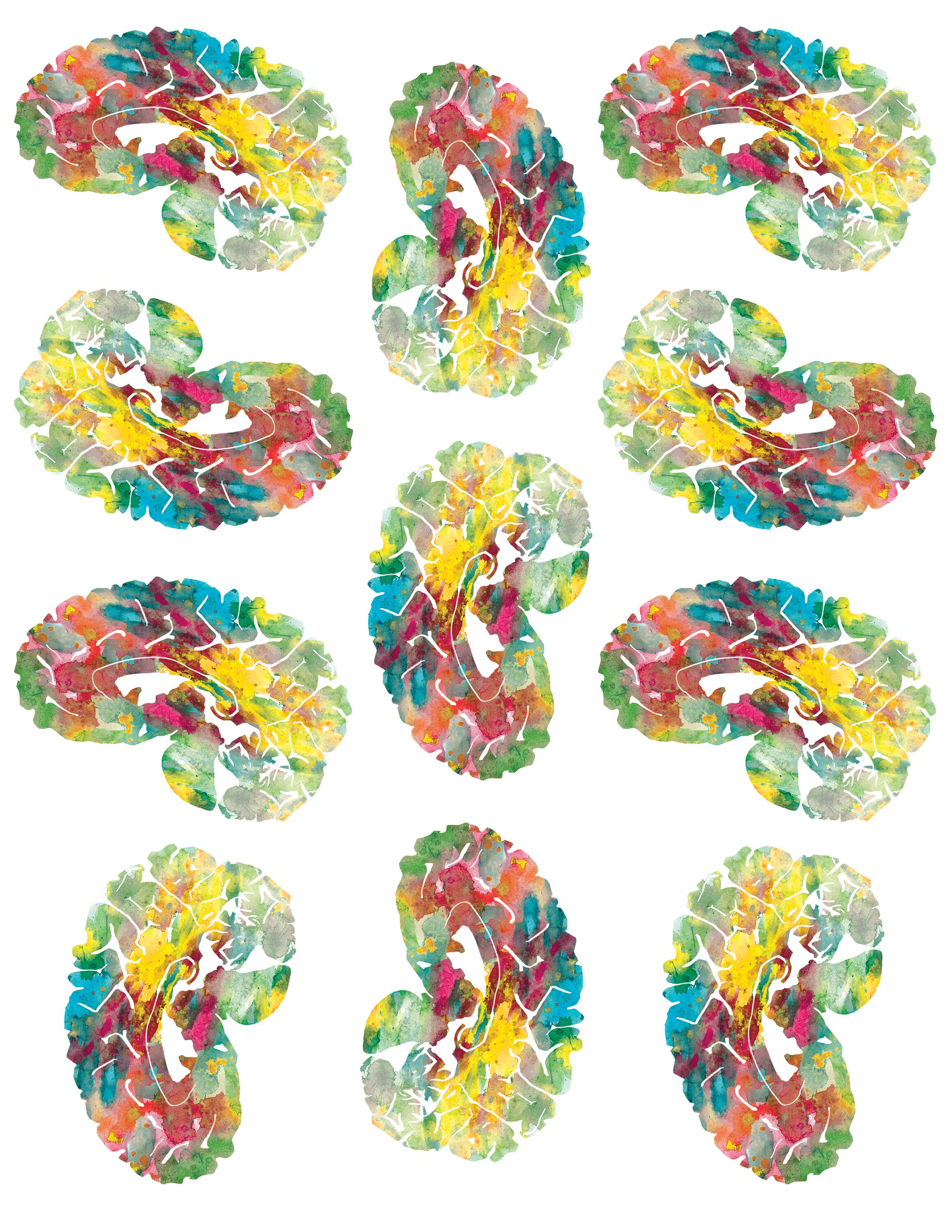 Sagittal Human Brain Stickers Set of 20 Neurology Sticker | Etsy