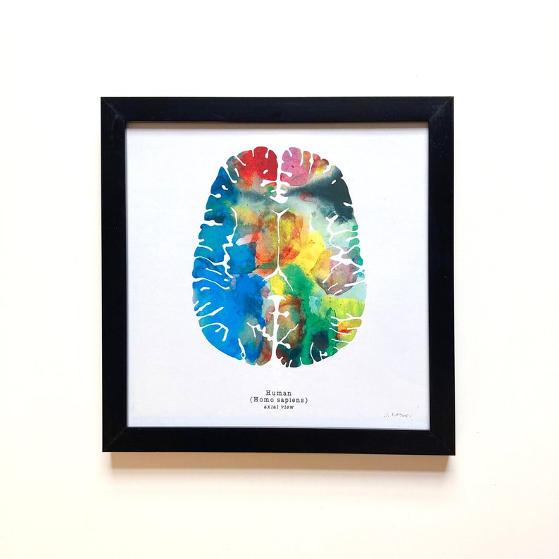 Axial Human Brain Art - Colorful 8.5" X 8.5" Print - Psychiatry ...