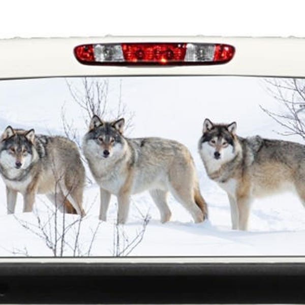 Rear Window Graphics - Etsy