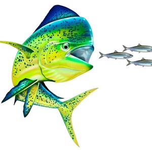 Saltwater Fish - Etsy