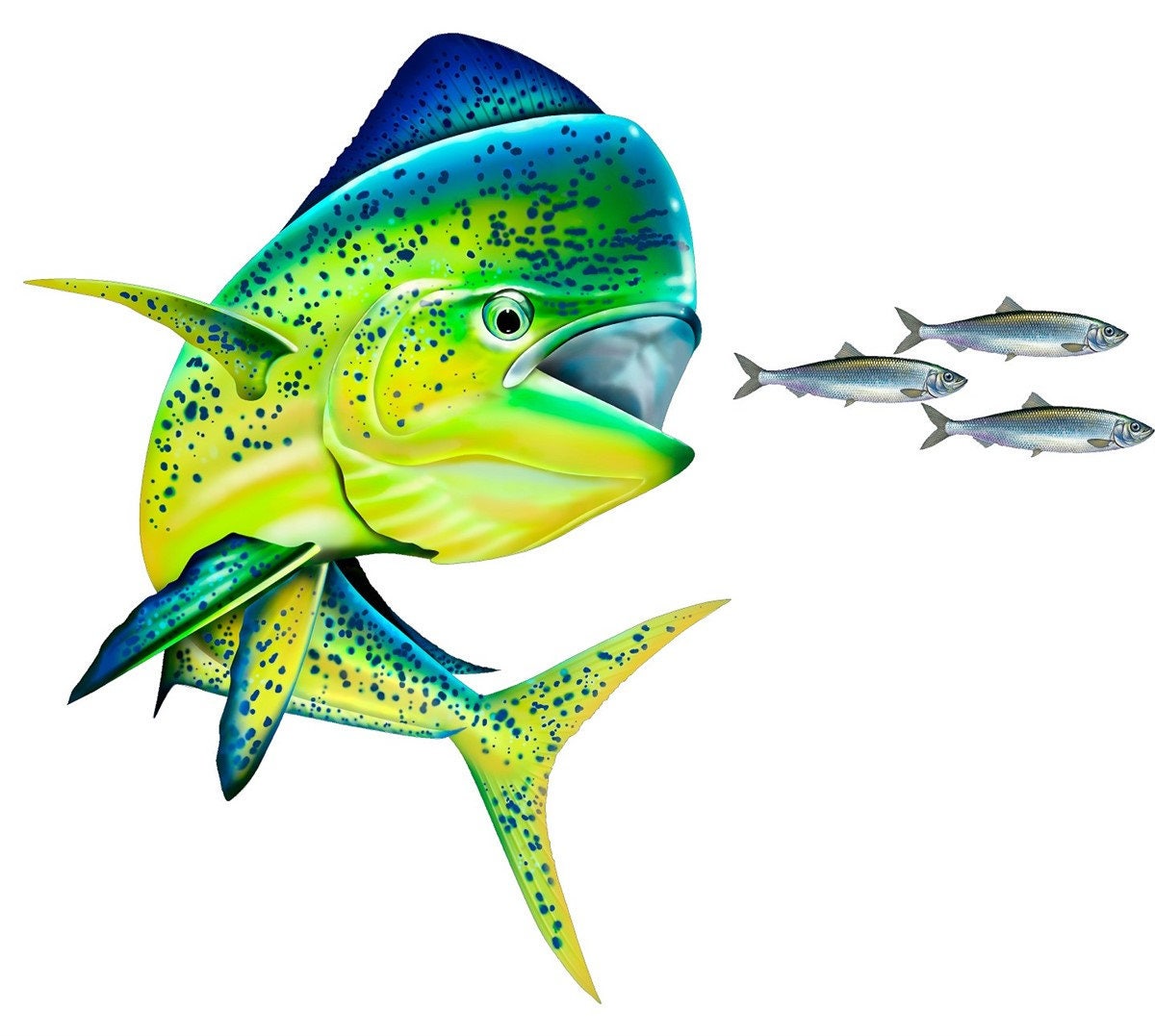 Mahi Chasing Bait Fish Fishing Color Decal 12" Boat, Car, Camper ...