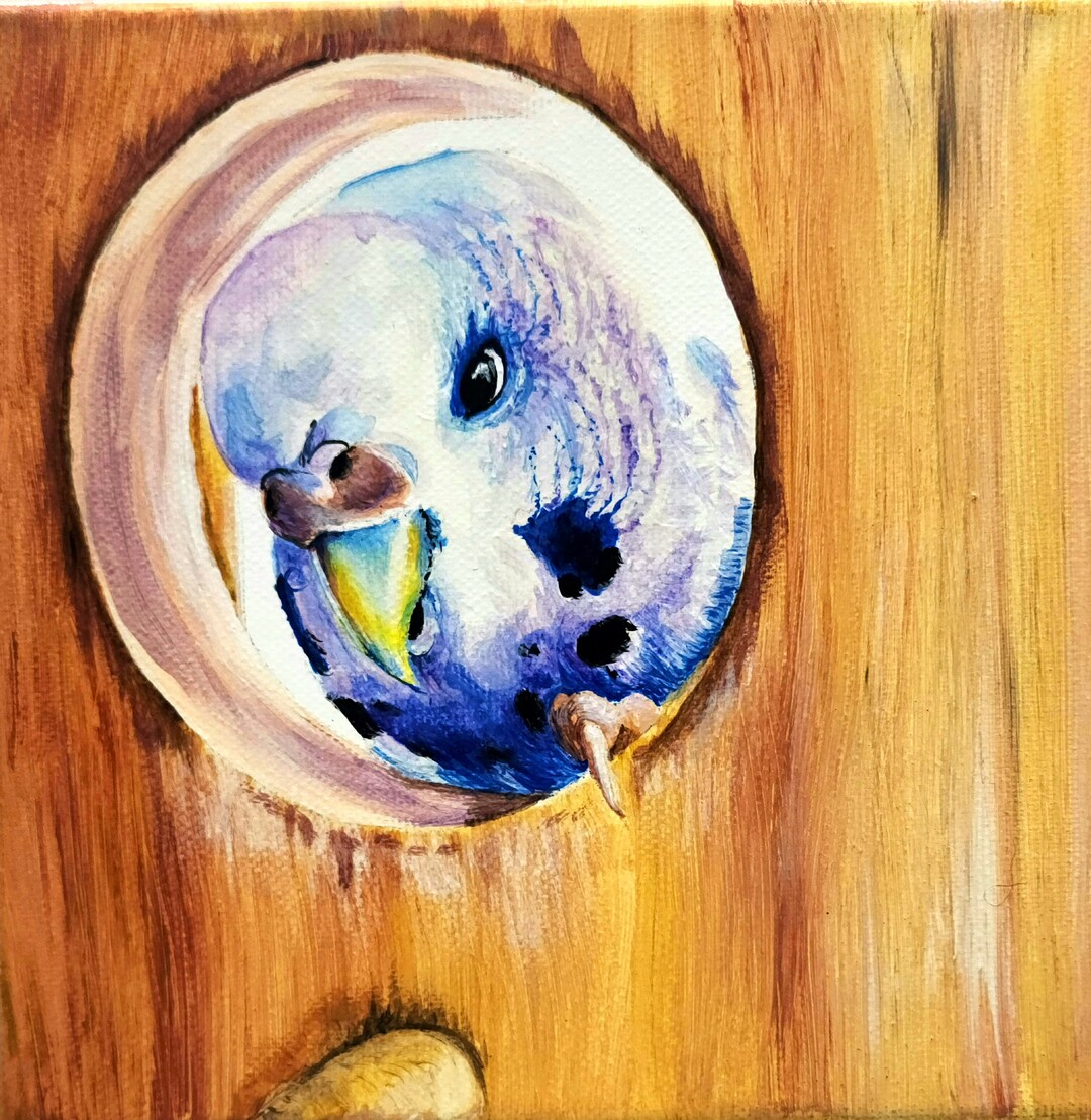 Custom Bird Portraits - Etsy