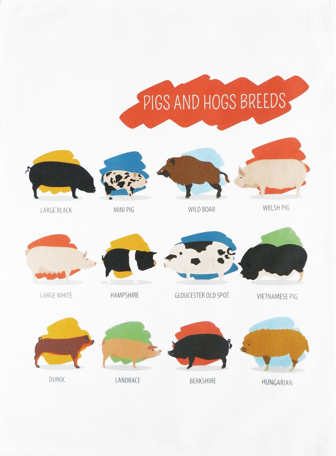 Pig and Hog Breeds - Large Cotton Tea Towel - Etsy