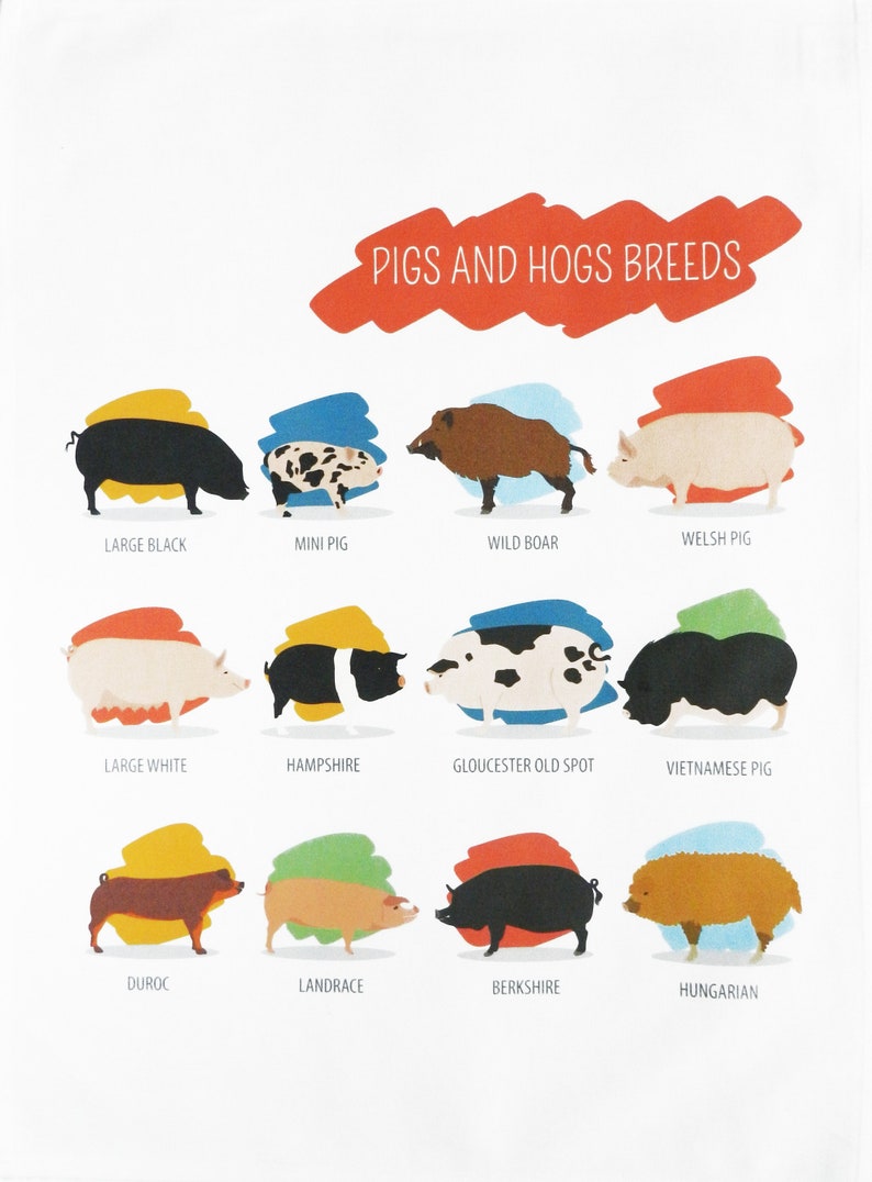 Pig and Hog Breeds - Large Cotton Tea Towel - Etsy
