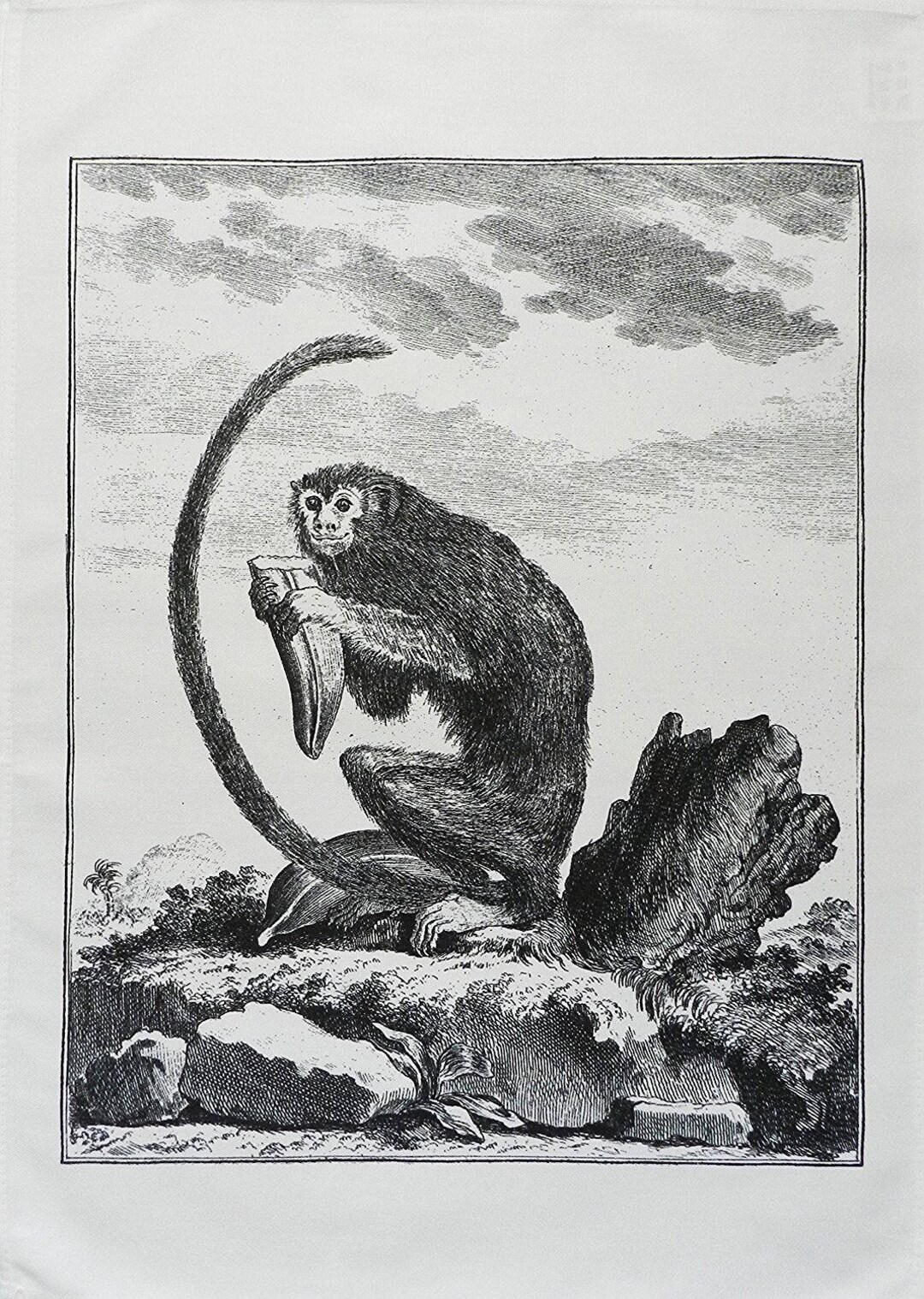 The Munching Monkey - Retro Style Large Cotton Tea Towel by Half a ...