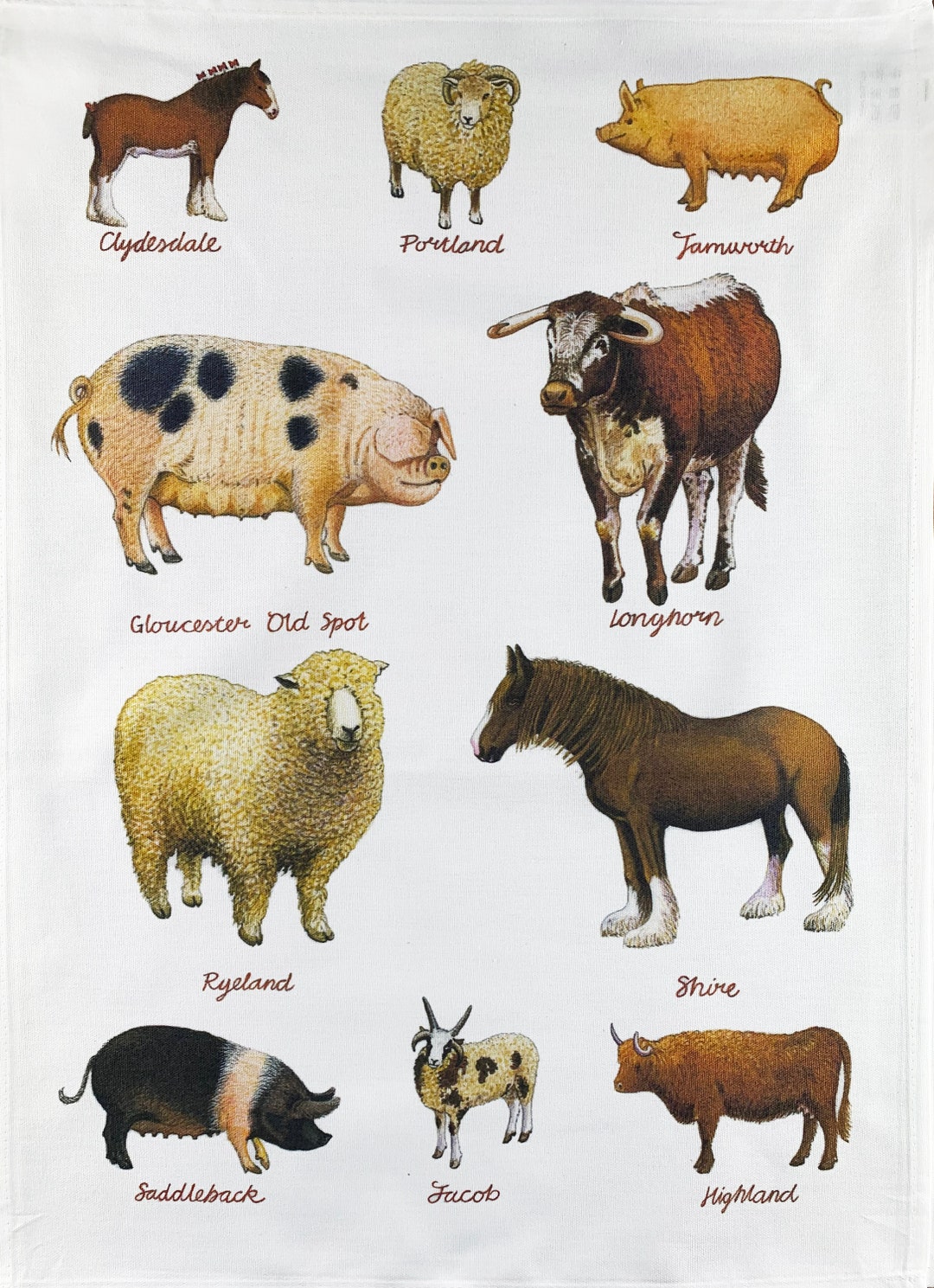 Rare Breeds of Farm Animals Large Cotton Tea Towel - Etsy