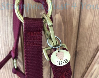 HALTER PLATE Notched 4.5x 3/4 BRASS Custom Engraved Halter Brow Name ...