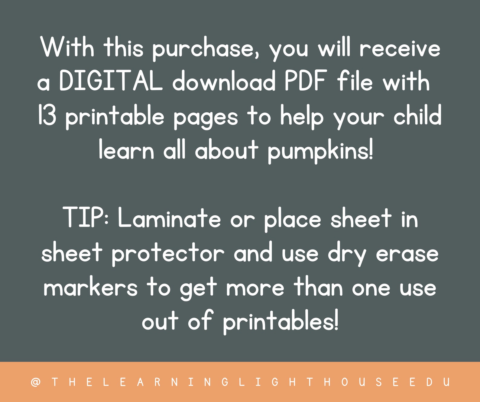 Nature Study Unit: Pumpkins - Etsy