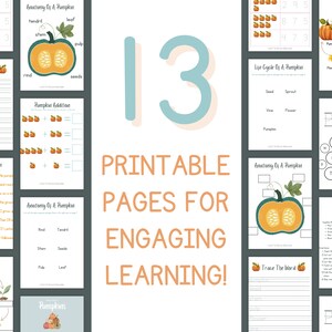 Nature Study Unit: Pumpkins - Etsy