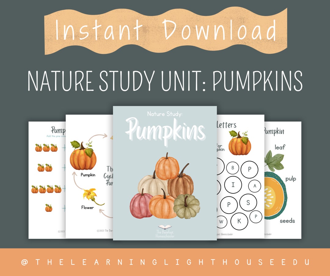 Nature Study Unit: Pumpkins - Etsy