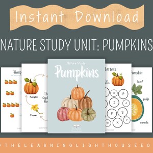 Nature Study Unit: Pumpkins - Etsy