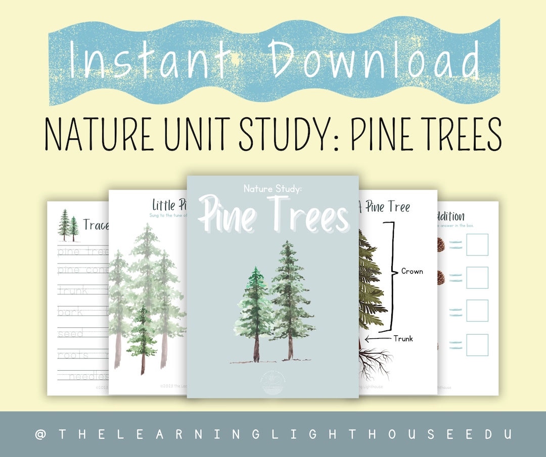 Nature Unit Study: Pine Trees - Etsy