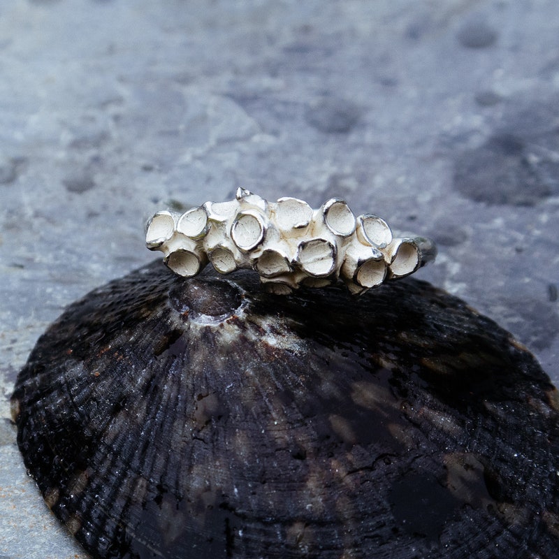 Barnacle Ring - Etsy