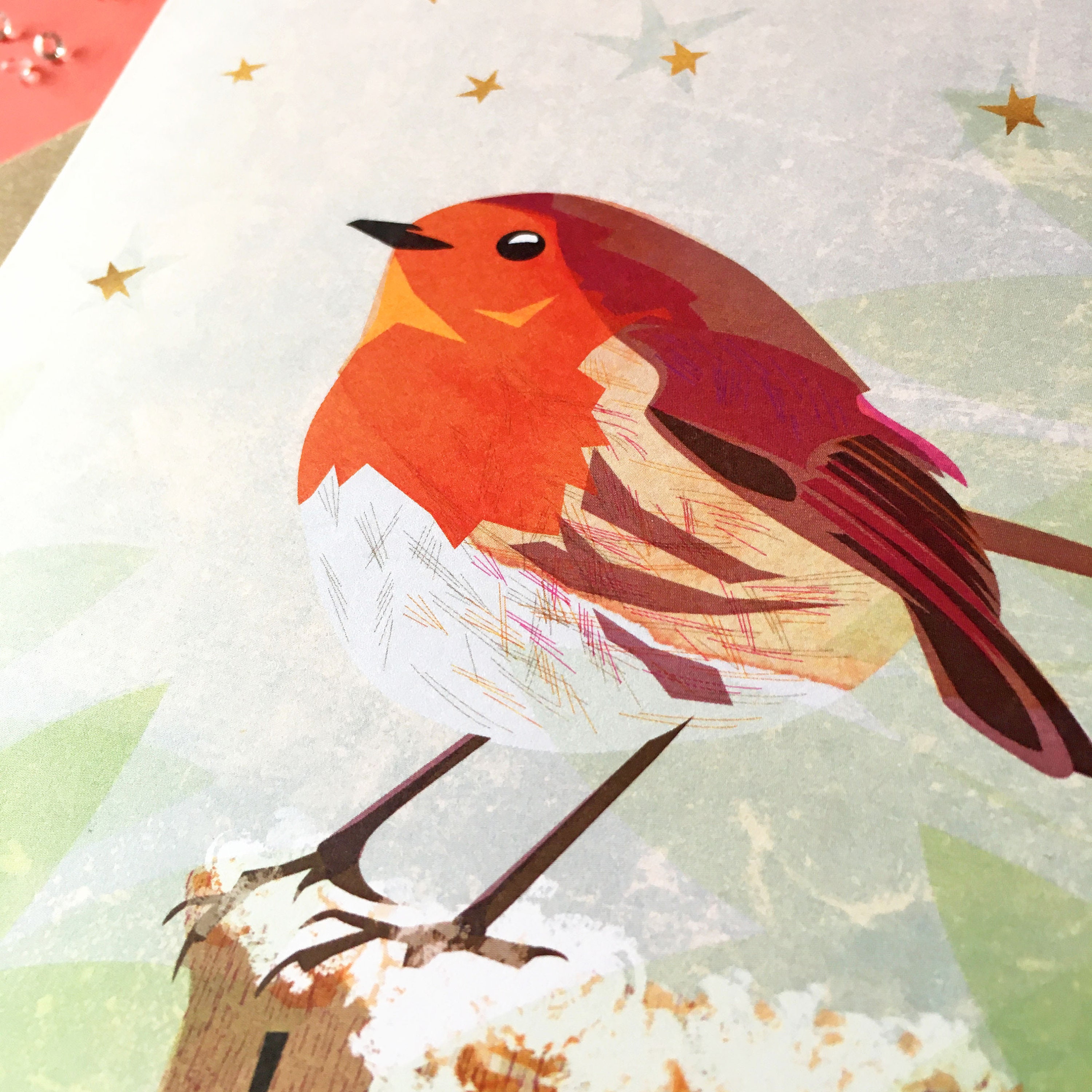 Illustrated Seasonal Robin Bird Christmas Holiday Card | Etsy