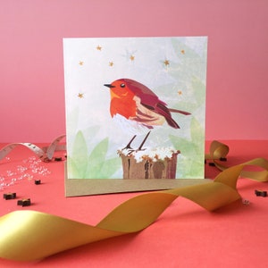 Illustrated Seasonal Robin Bird Christmas Holiday Card Illustrated ...