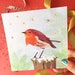 Illustrated Seasonal Robin Bird Christmas Holiday Card Illustrated ...