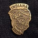 The Future of Indiana Pin, Indiana Teacher Pin, Redfored Pin - Etsy