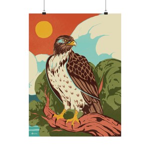 Red-tailed Hawk Illustrated 11x14, 18x24 Poster - Etsy