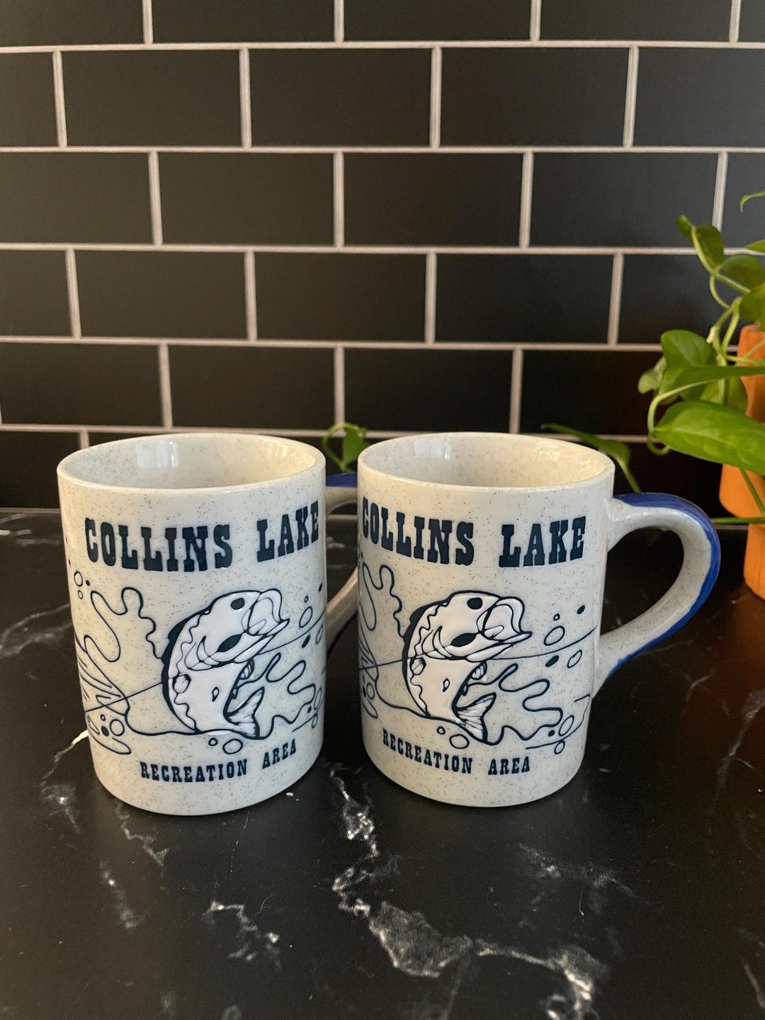 Collins Lake Recreation Area Mugs- Vintage Otagiri Embossed Speckled ...