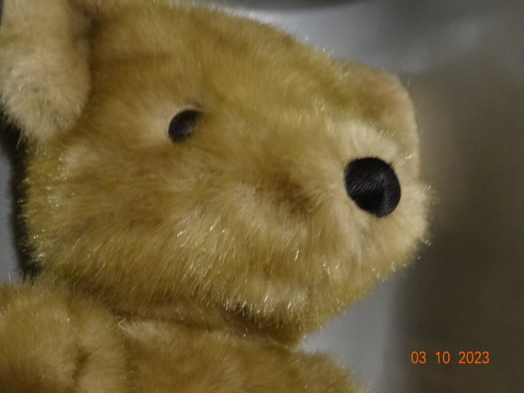 Teddy Bear 18inch,eaton Store Anniversary 125th, Never Out of Box, No ...