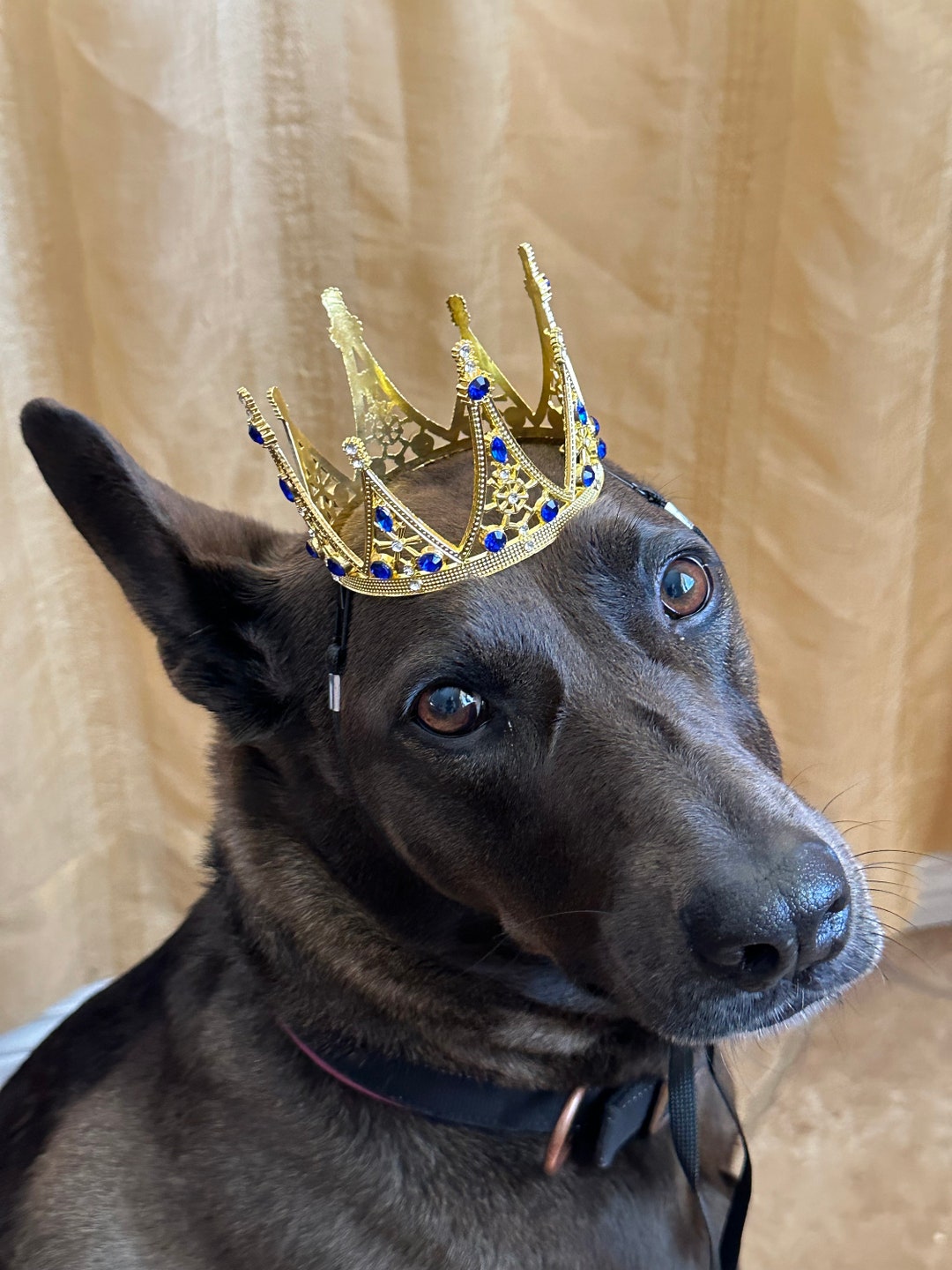 Crowns for Dog Adult Pets Crown Gold Crown for Dogs Birthday Dog Crowns ...