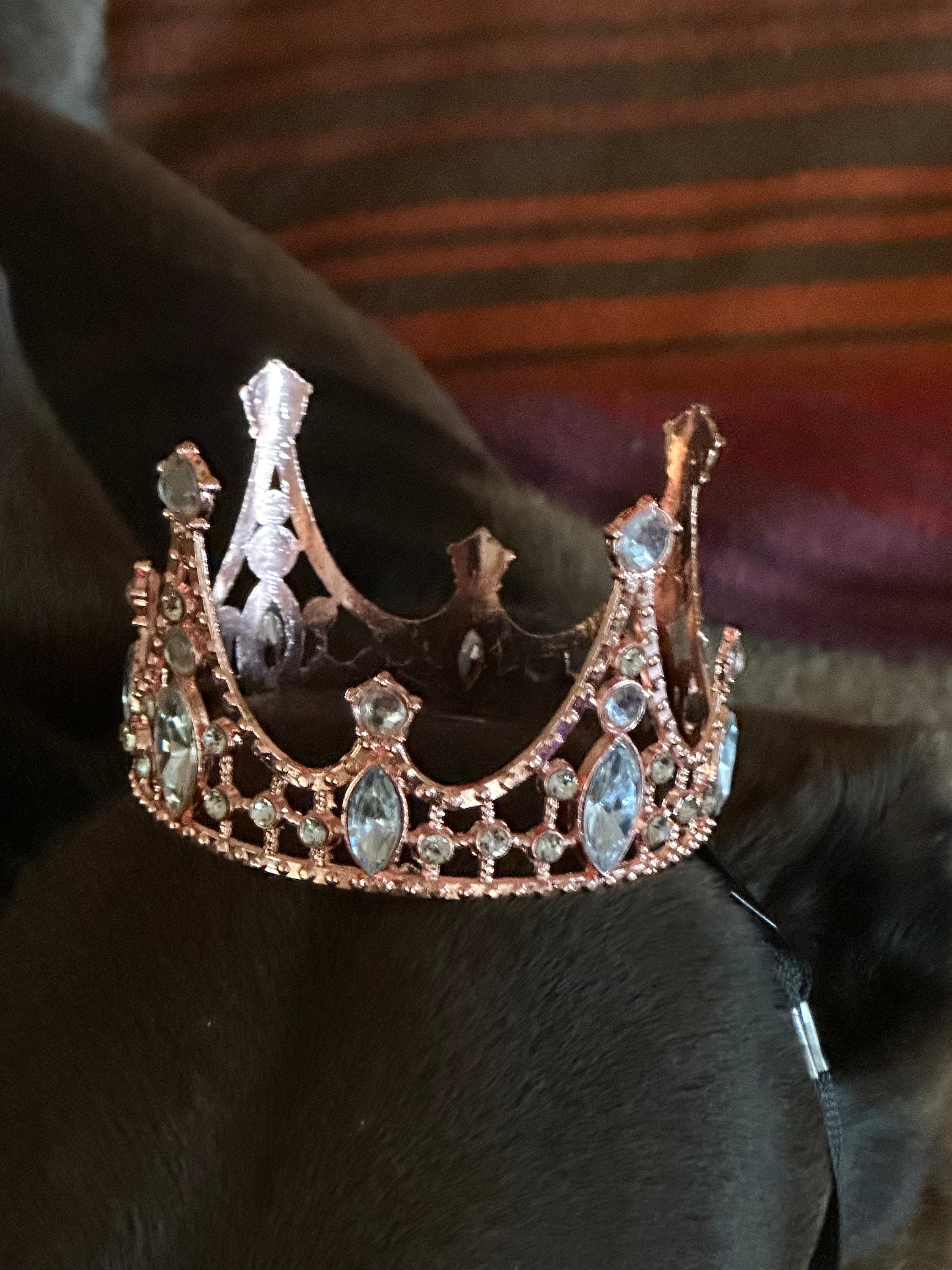 Rose Gold Pet Birthday Crown: for Pets, Dogs Birthday, Cat's, Puppy - Etsy