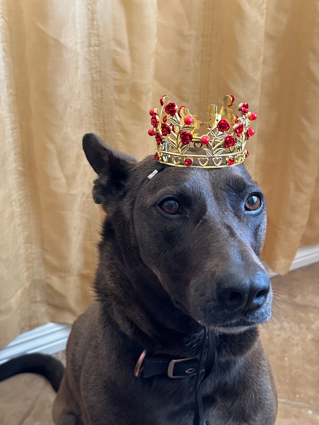 Crowns for Dog Adult Pets Crown Gold Crown for Dogs Birthday Dog Crowns ...