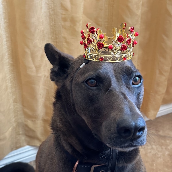 Dog Crown - Etsy