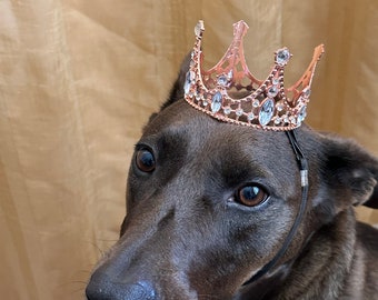 Gold Pet Birthday Crown: for Pets, Dogs Birthday, Cat's, Puppy - Etsy