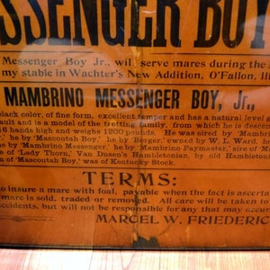1908 Stud Service Poster for Mambrino Messenger Boy Jr. - Standard Bred ...