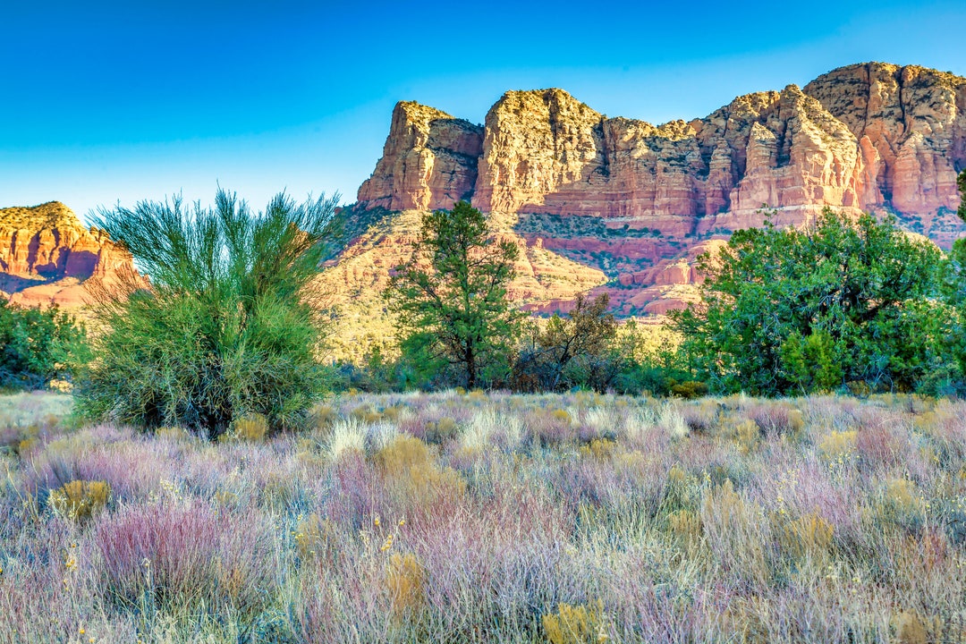 Beautiful Colorful Meadow Sedona Arizona Landscape Photography - Etsy
