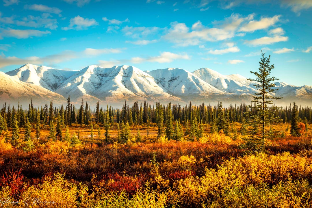 Alaska Fall Color Fresh Snow Landscape Photography Blue Sky Colorful ...
