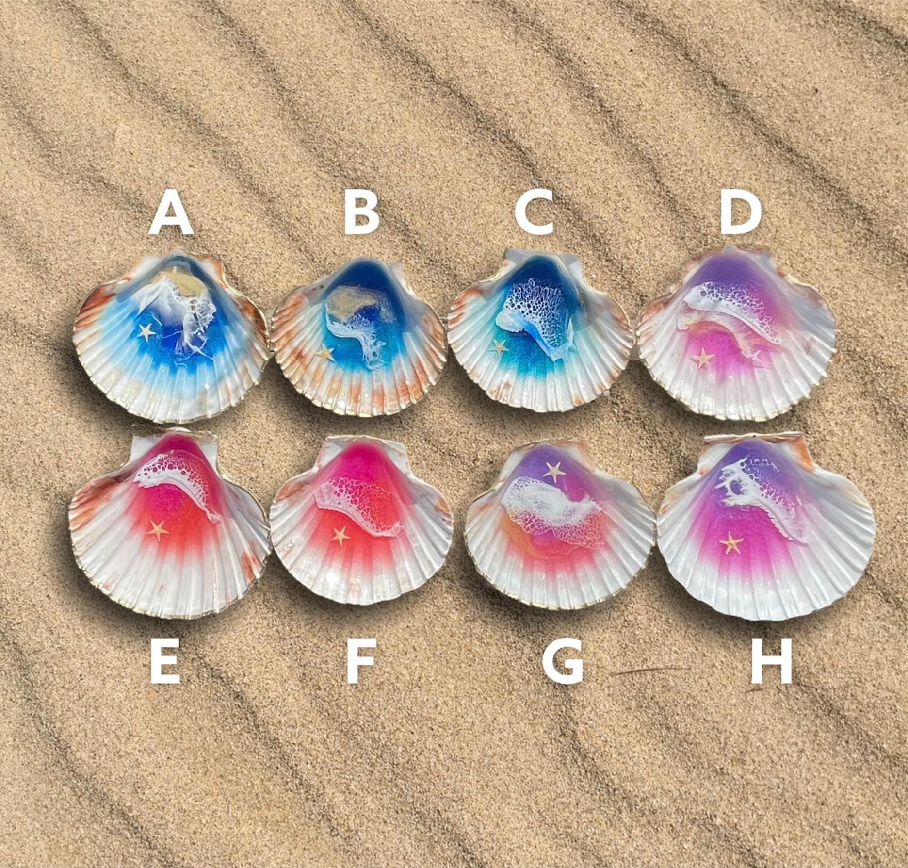 Real Seashell Beach Scene jewelry dish with Ocean waves | Etsy